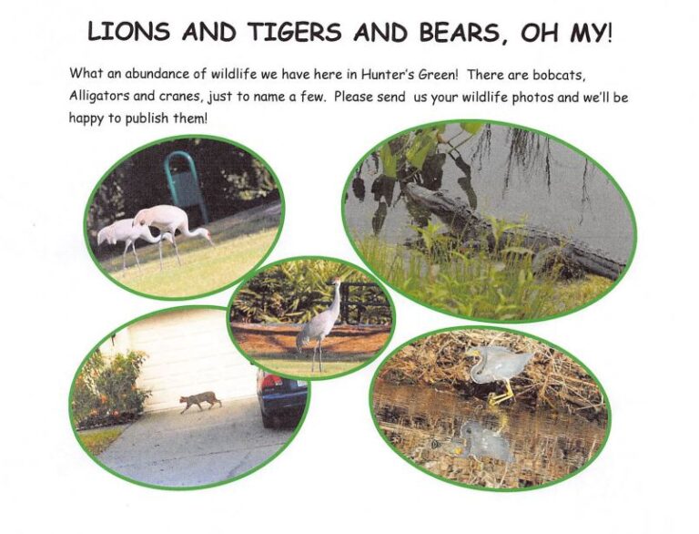 Nature and Wildlife | Hunter's Green Community Association, Inc.